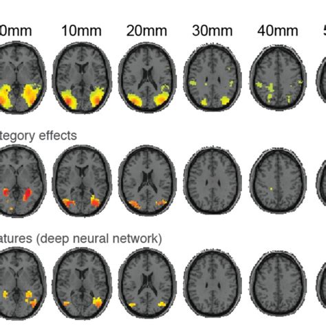 Spatial Dynamics Of Behaviour ­ Relevant Brain Activity A Download Scientific Diagram