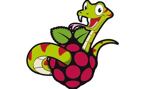 Python Pada Raspberry Pi Embeddednesia