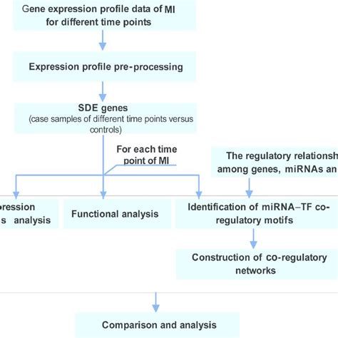 The Schematic Representation Of The Computational Analysis Pipeline