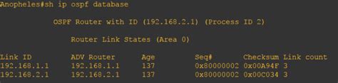 Ospf Link State Advertisement Lsa Types Sass Learns