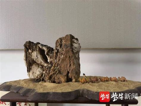 南京莫愁湖景區舉辦奇石講座領略大自然的神奇 每日頭條
