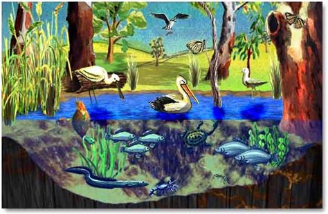 Ecosystems Miss Griffin S 5th Grade