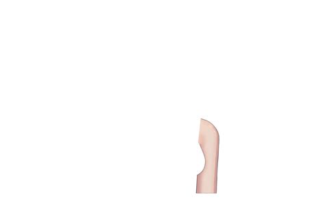 can anyone give me any kind of submod for my monika and please be the
