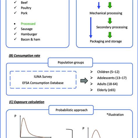 Exposure Scenarios Of Bpa In Non Canned Fresh And Processed Meat Products Download Scientific