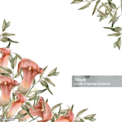 빨간 빈티지 칼라 꽃 와 녹색 잎 수채화 프레임 벽지 열대 백합과 녹지가 있는 손으로 그린 꽃 배너 포장 로고 디자인 웹 뷰티