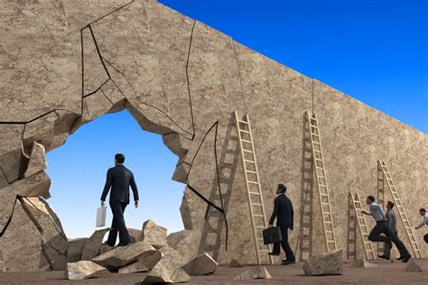 The Broken Ladder More Choices In Your Career Than You Thought The