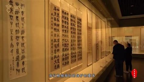 听陈卓馆长“安利”天津博物馆啦。温馨提示🔔，天博入馆也要两码联查哟！文化艺术好看视频