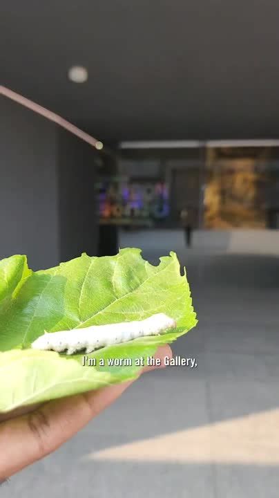 Sanjana Hegde On Linkedin Come To The Gallery Even If You Are Not A Worm