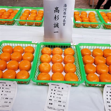2023 01みかん品評会みかん家ゆがわらーもんがわアグリー