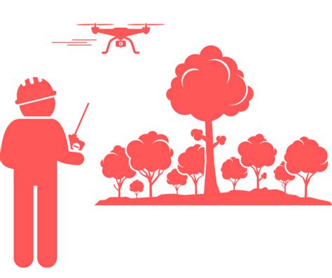 3d Mapping Fly Mapping