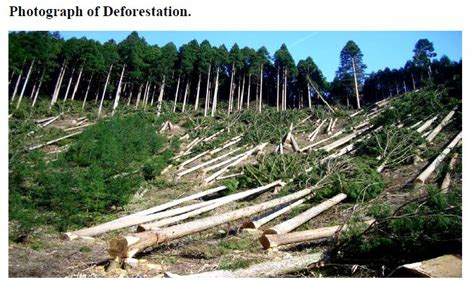 o level p2 geo env of pakistan forest tca notes
