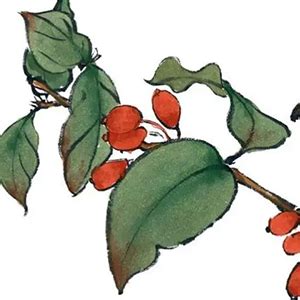 遍插茱萸少一人钢琴谱 王志信 降A调 钢琴谱五线谱独奏谱 钢琴谱 钢琴五线谱 钢琴简谱 钢琴弹唱谱 钢琴声乐正谱 钢琴视频教程牛牛钢琴