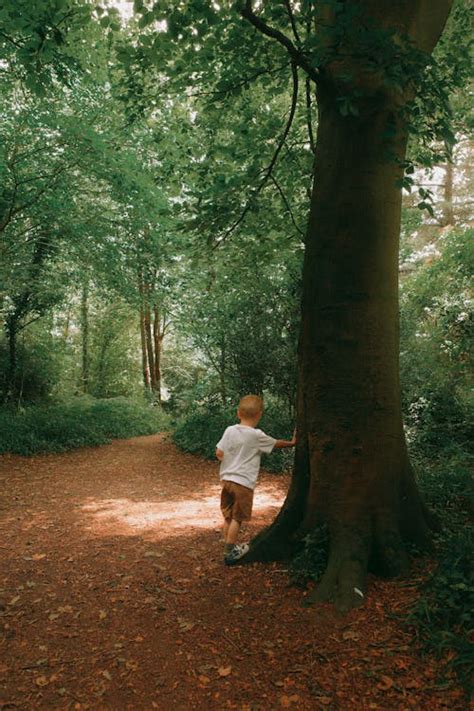 가을 걷고 있는 걷기 경치 경치가 좋은 고요한 나무 나뭇잎 녹지 단풍 뒷모습 떨어지다 레저 레크리에이션