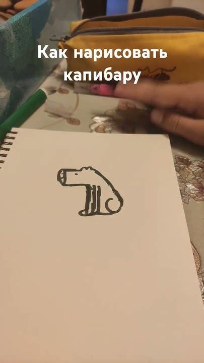 как нарисовать капибару Youtube