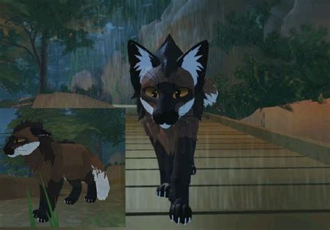 Maned Wolf Wcue Morph Warrior Cat Maned Wolf Warrior Cats