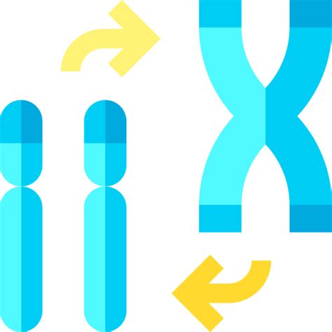 Chromosome Basic Straight Flat Icon