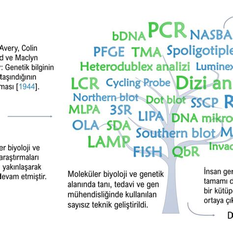 Comparison Of First Second And Third Generation Genomic Sequencing