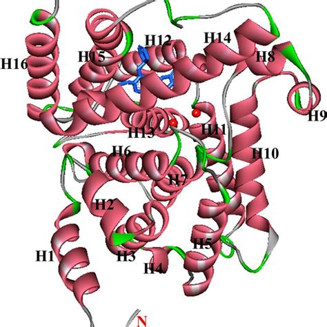 Signaling Cascades Illustration Of Campcrebbdnf Mapks Epacakt