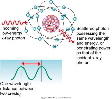 Ch 3 Interactions Of X Radiation W Matter Flashcards Quizlet