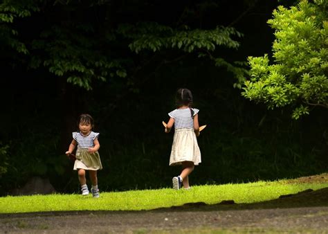 前後の情 GANREF