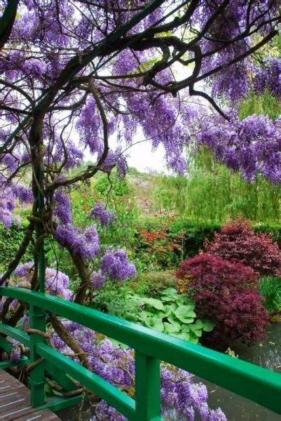 17 Best Images About Colorful Trees On Pinterest Trees Parks And Autumn Trees
