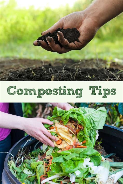 Composting Tips The Busy Vegetarian