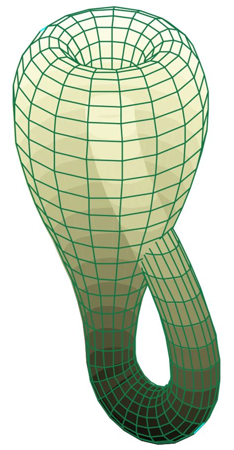 Klein Bottle Wikipedia