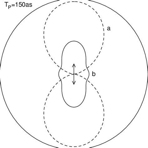 Polar Plots Of The Angular Distribution Of The Ejected Electrons After