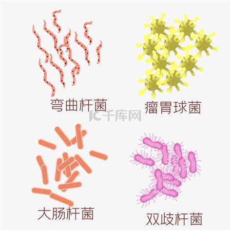 大肠杆菌弯曲杆菌菌群素材图片免费下载 千库网