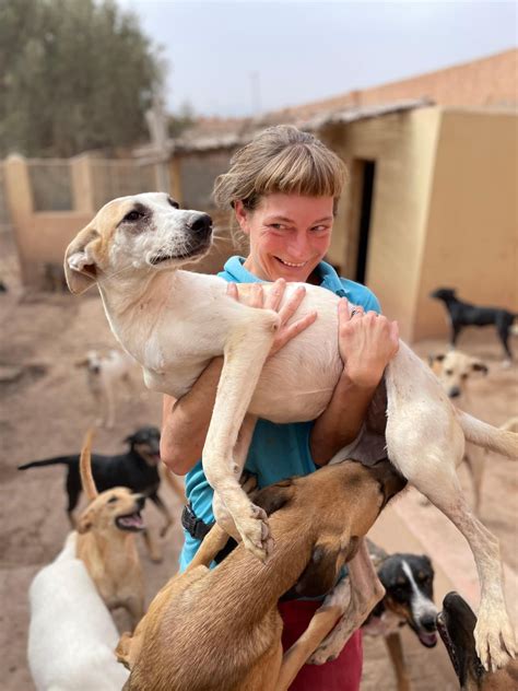 Cuddle Time Is Such An Important Part Of Rehabilitating Our Rescues