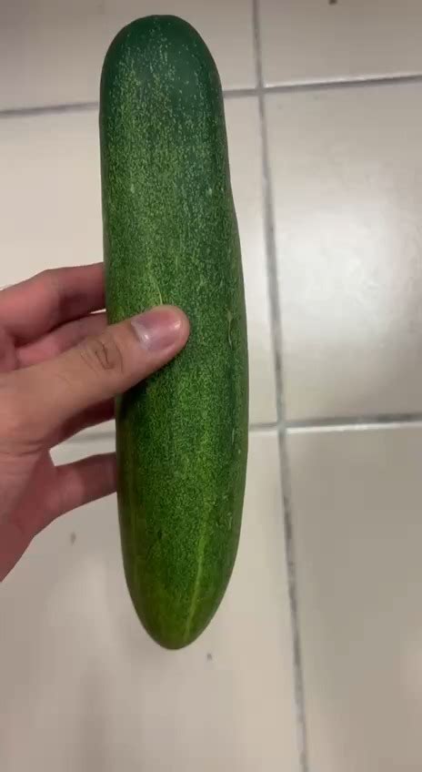 Vege Object Detection Dataset By Azri Workspace