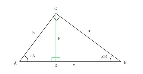 What Is A Right Triangle Definition Types And Properties