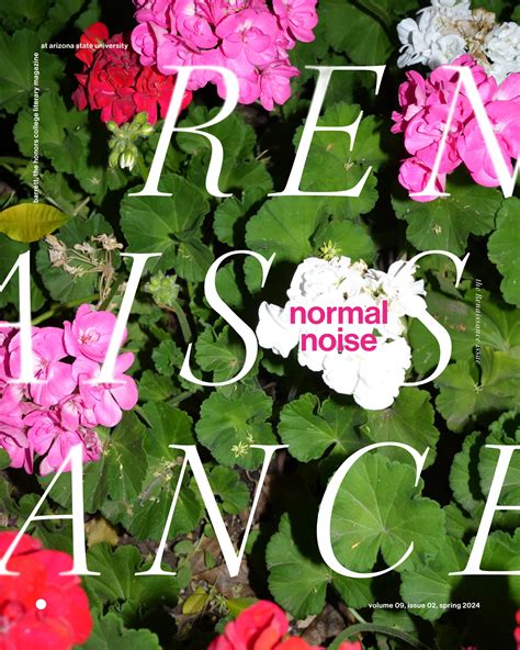S24 Renaissance By Normal Noise Issuu