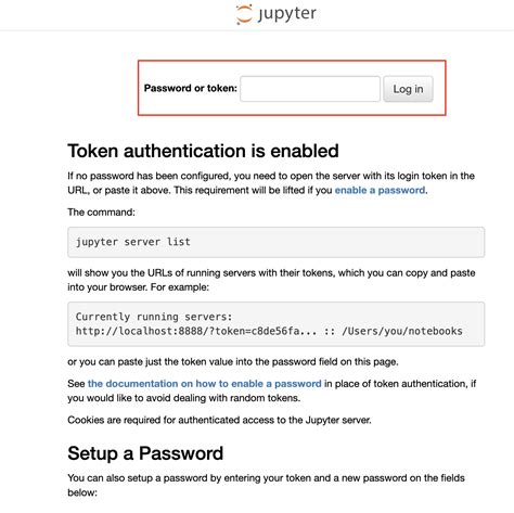 Launch Jupyter Notebook Rafay Product Documentation