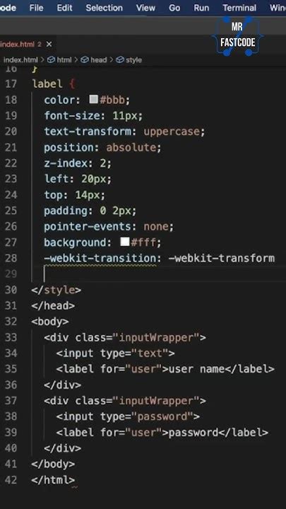 How To Make Input Label Animation Html And Css Shorts Youtube