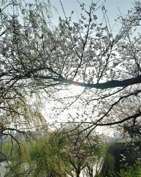 밤손님 중년의 여자가 눈이 멈추길 기다리고 있다 녹지 않는 눈이 그녀의 육체 곳곳에 항상 덮여 있어 눈이 오는 날이면 그녀는 더더욱 보이지 않는 존재가 되기 때문이다