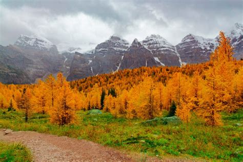 How To Model Multiple Seasonality In Time Series Towards Data Science