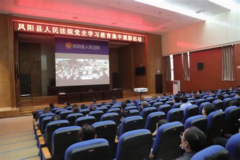 赓续红色血脉 汲取信仰力量 凤阳法院组织干警集中观看电影《革命者》澎湃号·政务澎湃新闻 The Paper