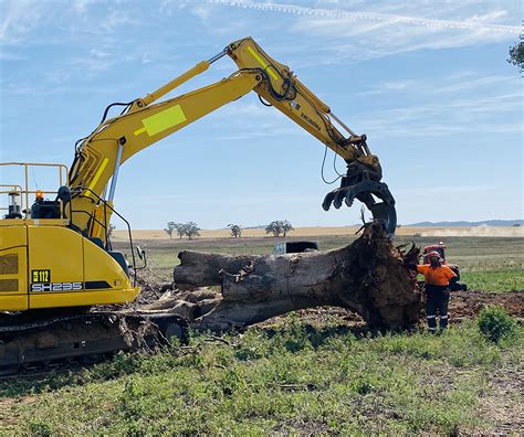 Tree Removal Pruning And Stump Grinding Western Tree Management Pty Ltd