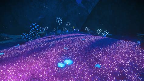 99 5 Paradise Planet Euclid Welcome R Nms Bases