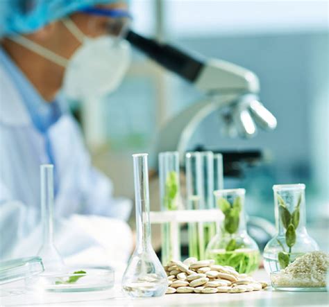 식품보조식품 천연성분 식이공급 레인보우