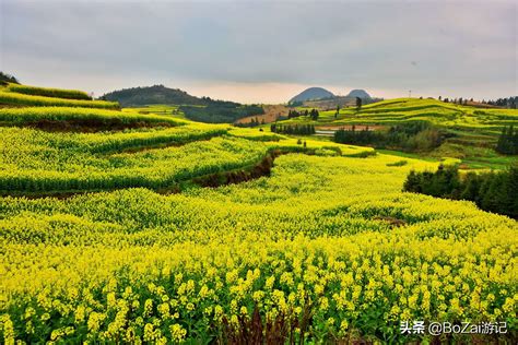 到云南曲靖旅游必去的17大景点 云南曲靖旅游必去的景点推荐