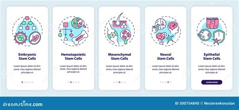 Walkthrough Types Of Stem Cell With Colorful Thin Line Icons Stock Vector Illustration Of