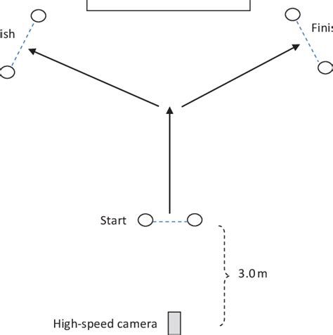 Set Up Of The Reactive Agility Test Download Scientific Diagram