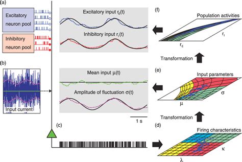 Figure 2 From Estimating Nonstationary Input Signals From A Single Neuronal Spike Train