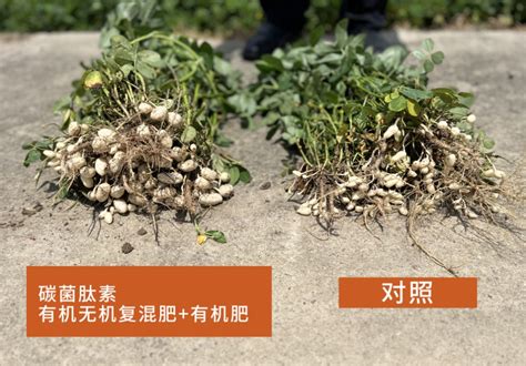 不同形态的有机肥，使用和性能上有何区别？上海绿缘三元素生物科技有限公司