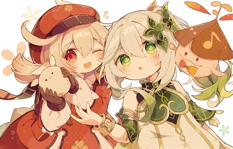 Introducing Dodoco By Nononimpact Rkleemains