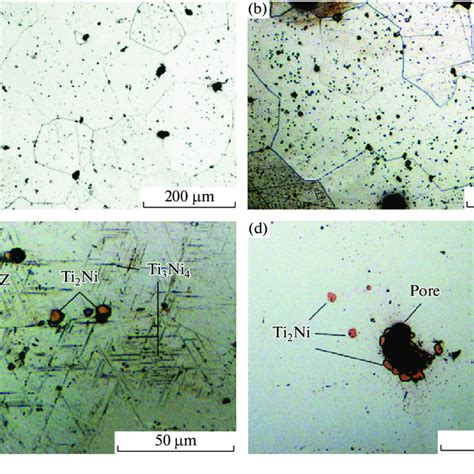 The Burgers Orientation Relationship Between The α Hcp And β Bcc Download Scientific