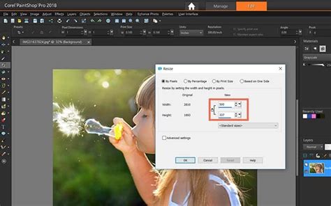 How To Create Pop Art In PaintShop Pro