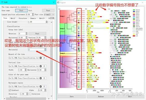 零代码 超级实用绘制基因家族结构图进化树组合图 知乎 零代码 超级实用绘制基因家族结构图进化树组合图 知乎